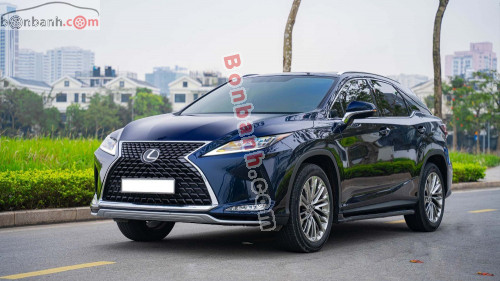 Bán xe ô tô Lexus RX 300 2020 giá 2 Tỷ 850 Triệu | 4970301